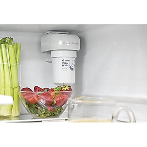 GE GWE19JGLWW French Door Refrigerator