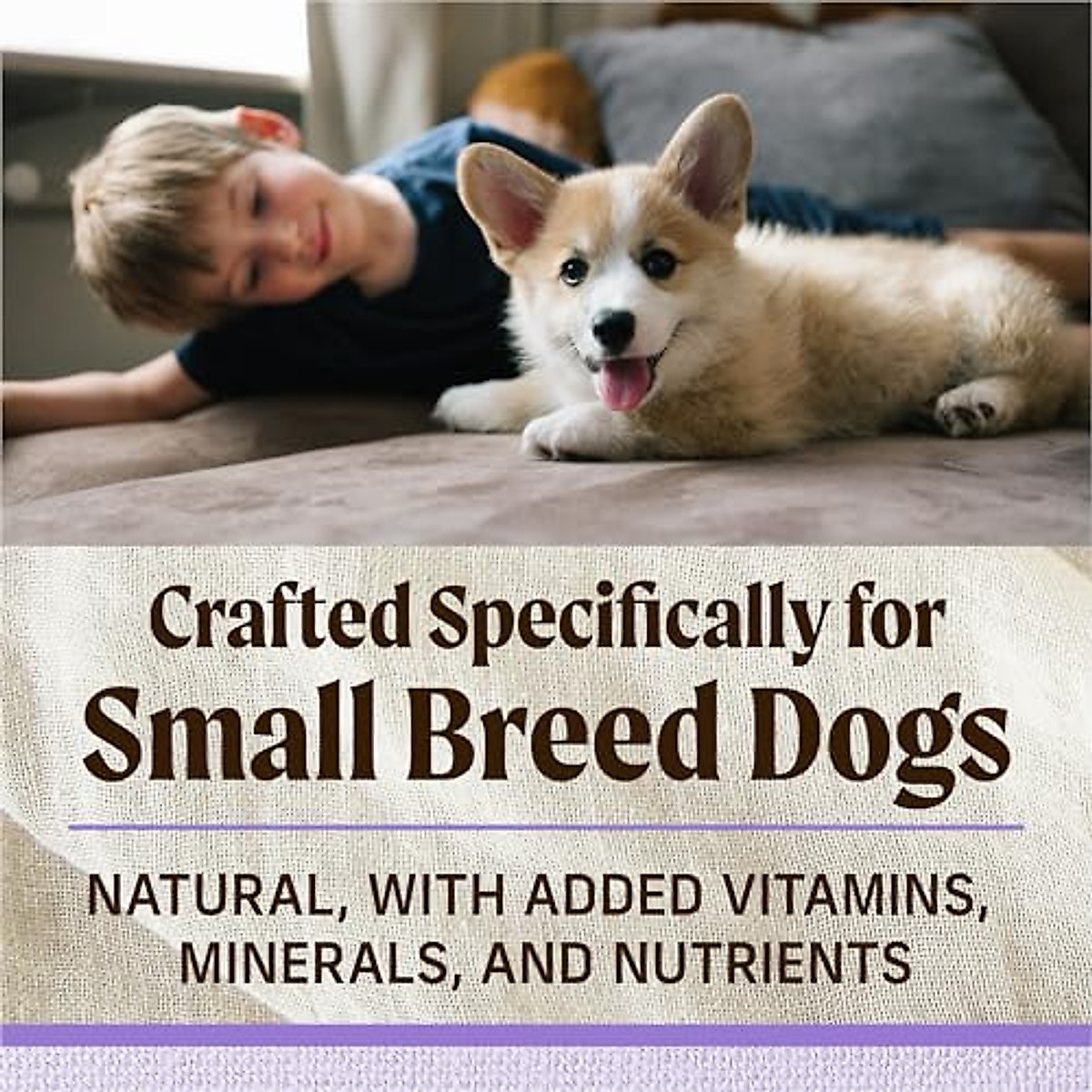 Merrick Lil’ Plates Premium Grain Free Dry Puppy Food for Small Dogs, Real Chicken and Sweet Potato Kibble - 12.0 lb. Bag