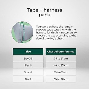 Ortocanis - Knee Brace Fastening Belt for Dog - Prevents Slippage - Improves Stability and Recovery - Size Harness + Leash: L 69-96 cm