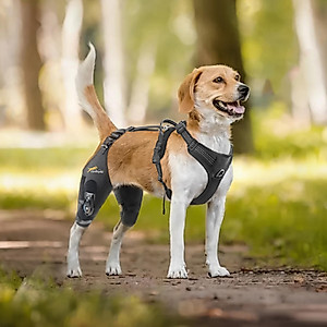 Dollephi Dog Knee Brace for torn acl hind leg with Adjustable Hinge Stabilizer, Dog leg brace Support for Cruciate Ligament Injury, Dog back brace for Osteoarthritis, Recovery After Surgery,et（L）