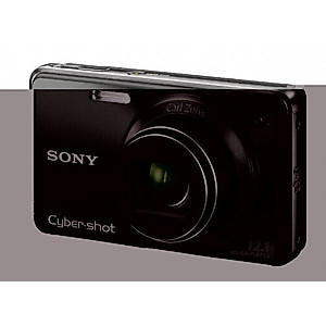 Sony Cyber-shot DSC-W290 12.1 MP Digital Camera with 5x Optical Zoom and Super Steady Shot Image Stabilization (Black) (Discontinued by Manufacturer)