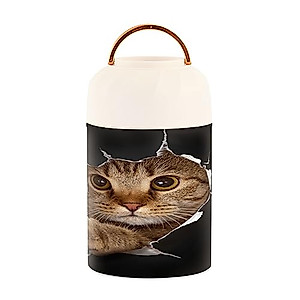 CUPADA Cat Funny Food Jar, Black Paper Hole Insulated Hot Food Jars Vacuum 17OZ with Folding Spoon for Work Trip Picnic Camping