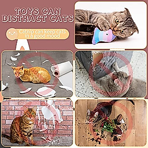 25 Pcs Catnip Toys Cat Chew Toy Interactive Catnip Filled Kitten Toys Soft Cotton Cat Toys for Cats Kitten, Assorted Cat Teething Chew Toys Indoor Pet Supplies (Lovely)