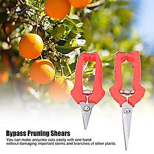 Deryang Garden Shears, Bud Trimmer Hedge Shears, Garden Clippers Garden Scissors Garden for Bonsai