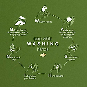 Dove Refreshing Body Wash with Pump Revitalizes and Refreshes Skin Cucumber and Green Tea Effectively Washes Away Bacteria While Nourishing Your Skin, 34 Fl Oz (Pack of 3)