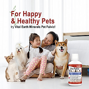 Vital Earth Minerals Pet Fulvic - Dog Allergy Relief, Joint Support Supplement 16 oz (Pack of 2)