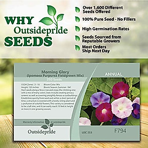 Outsidepride Ipomoea Purpurea Morning Glory Fieldgrown Climbing, Vining, Trailing Plants for Arbors, Trellises - 250 Seeds