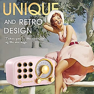 Retro Bluetooth Speaker, Vintage Radio-Greadio FM Radio with Old Fashioned Classic Style, Strong Bass Enhancement, Loud Volume, Bluetooth 5.0 Wireless Connection, TF Card and MP3 Player (Pink)