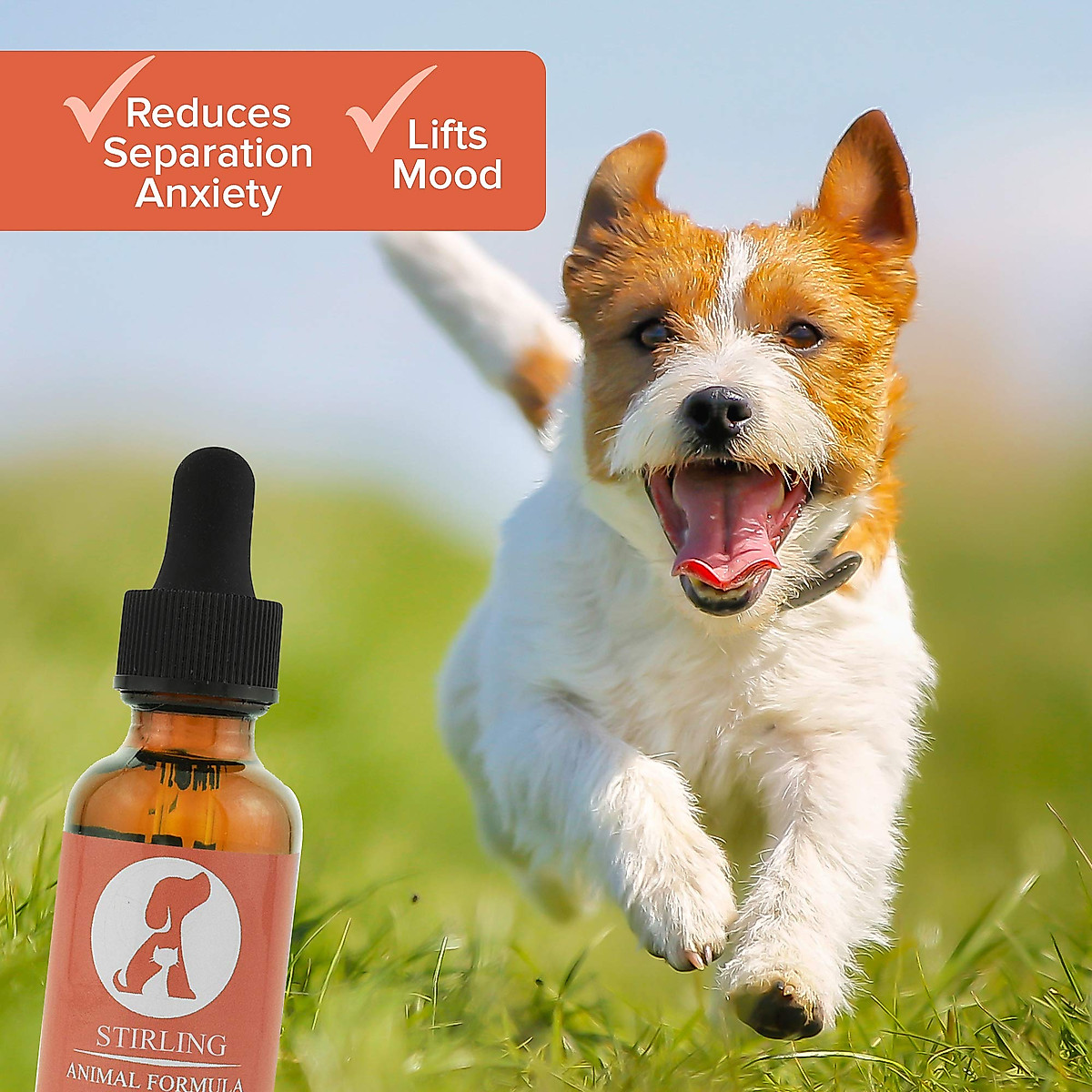 Stirling Powerful Hemp Oil for Dogs and Cats - Helps Relieve Pain and Sore Muscles - Reduces Dog and Cat Separation Anxiety - Calming - Relief - No Drowsiness - 250mg