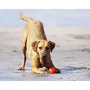 Chuckit! Fetch Medley Ball Set Dog Toys, Medium (2.5 Inch) 3 Pack