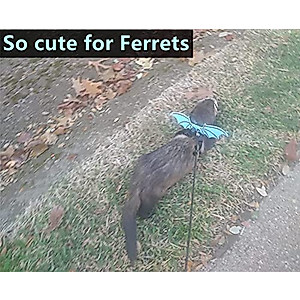 Bearded Dragon Leash and Harness Adjustable Leather Wings Costume Carrier from Baby to Juvenile Lizard Iguana Gecko Chameleon Hamster Ferret Reptile Walking Leash S M L 3 Pack