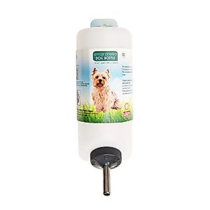 Lixit Wide Mouth Water Bottles for Large and Small Dogs (32oz Small Dog, White)