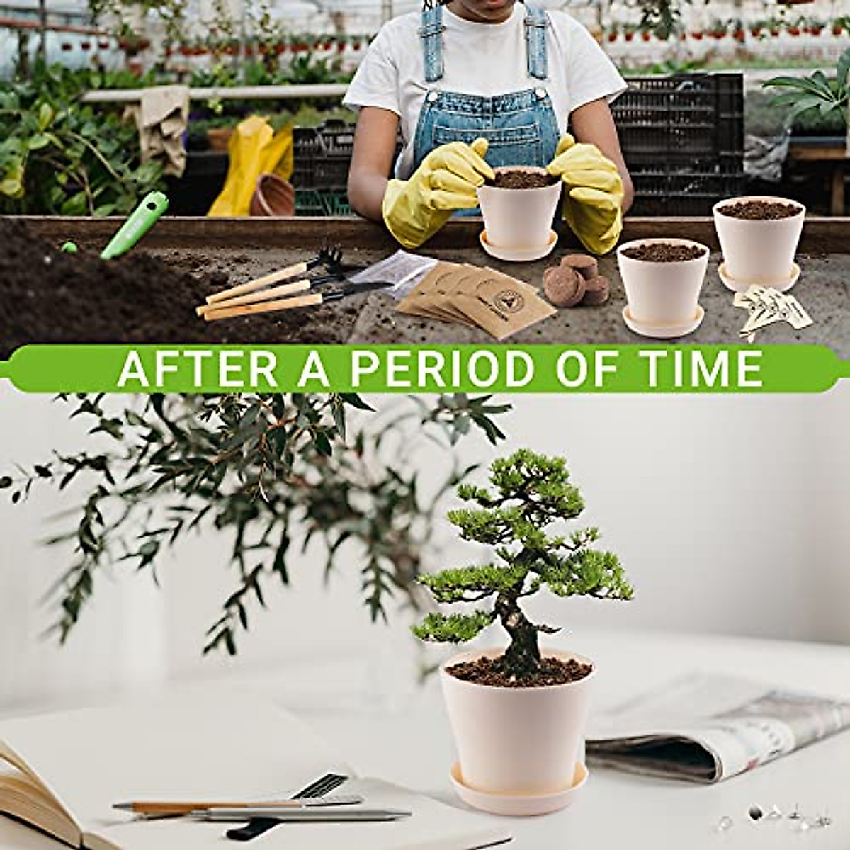 JC-JDFMY11 Gardening Potted Plants,4 Kit Kinds of Decorative Bonsai Tree Planting Kit Suitable for Indoor or Outdoor,Removable Base,with Drain Holes,Creative and Novel Gifts