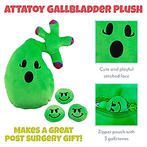 Attatoy Gallbladder Plush, Body Organ Stuffed Toy Complete with Gallstones