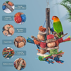Bissap Bird Chew Toys, Natural Bark Corncob Nuts Parrot Toys and Treats for Conure Cockatoo Parakeet Budgies Cockatiel Lovebirds Pets Cage Bite Toy