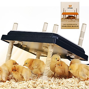 Pitalok Brooder Heater for Chicks: Chick Brooder Heating Plate with Easy- Cleaning Plate Poultry Coop Heater Chicks Warmer 10" x 10" for 15 Chicks Adjustable Height Brooding Heater 15 Watts