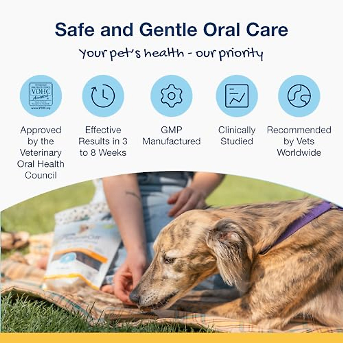 ProDen PlaqueOff System Dental Care Bones for Dogs - Vegetable 17 oz