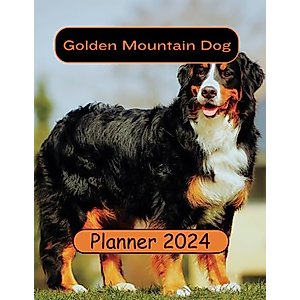 Golden Mountain Dog Planner 2024