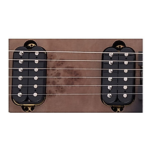 EVH 5150 Series Deluxe Poplar Burl Electric Guitar - Black Burst