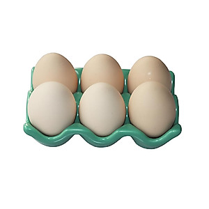 Bealuffe Ceramic Egg Holder Egg Tray Porcelain Fresh Egg Holder for Fridge Countertop Kitchen Storage Half Dozen 6 Cups