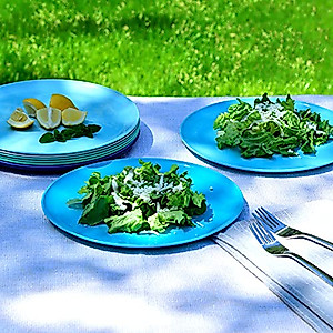Youngever 10 Inch Plastic Plates, Large Plates, Dinner Plates, Set of 9 (Coastal Color Theme)