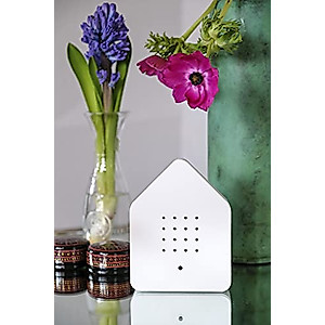 Brainstream Zwitscherbox Classic Sound Therapy Machine with Motion Sensor, White