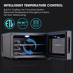 JINJUNYE 8 Bottle Wine Cooler Refrigerator, Wine Fridge Small, Countertop Wine Cooler with Temperature Control, Mini Freestanding Wine Cellar Glass Door for Home, Office, Bar, High-End Gift