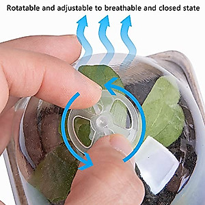 PURPLE STAR 1N 20 PCS Seeding Starter Peat Pots with Humidity Dome-2.3 Inch Square Biodegradable Plant Nursery Pots-Eco-Friendly Seedling Planting Pot for Garden Vegetable Flower Germination