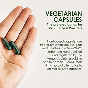 Capsuline Size 0 - Acid Resistant Enteric Clear Empty Vegan Capsules - 100 Count - Empty Veggie Pill Capsules - DIY Vegetable Capsule filling - Empty Caps - Non-GMO Certified