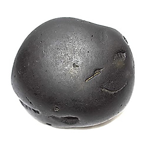Rudrakshguru TriVikrama Shaligram - Gandaki River Nepal