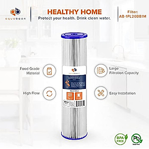 Aquaboon 1 Micron 20" x 4.5" Pleated Sediment Water Filter Replacement Cartridge | Whole House Sediment Filtration | Compatible with ECP5-BB, AP810-2, HDC3001, CP5-BB, SPC-45-1005, ECP1-20BB, 2-Pack
