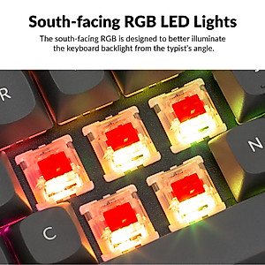 Keychron Q2 Wired Custom Mechanical Keyboard, QMK/VIA Programmable Macro, Full Aluminum, Hot-Swappable Gateron G Pro Red Switch, 65% Layout Double Gasket Compatible with Mac and Windows - Grey