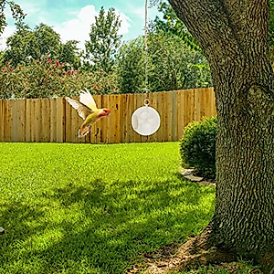 Mipcase 2 PCS Parrot Feeder Toy Bird Foraging Toy Parrot Forager Toy Bird Foraging Feeder Clear Pet Birds