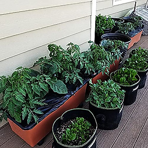 FoxFarm Ocean Forest Potting Soil Organic Mix Indoor Outdoor For Garden And Plants - Organic Plant Fertilizer - 38.5 Quart (1.5 cu ft). - (Bundled with Pearsons Protective Gloves) (1 Pack)