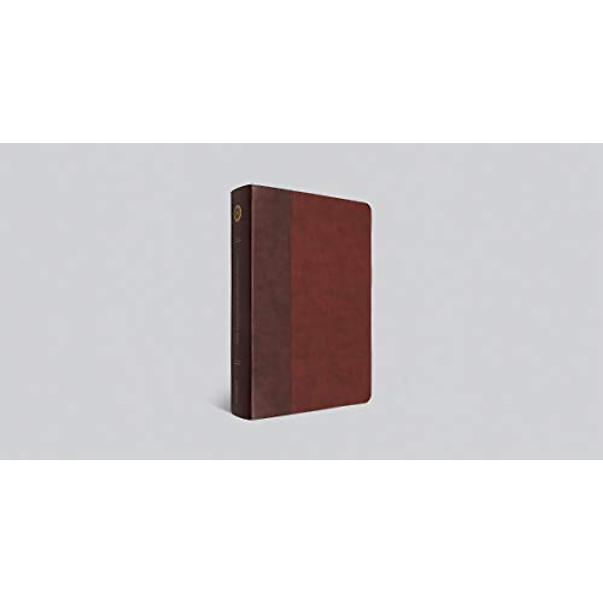 ESV Single Column Journaling Bible, Large Print (TruTone, Burgundy/Red, Timeless Design)