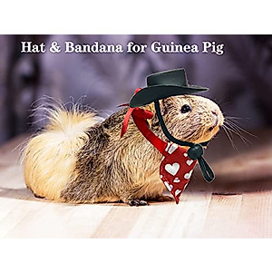 CooShou 4 Pcs Valentine's Day Guinea Pig Hat Bandana Outfits Hamster Hat Costume Small Animal Black Pink Hats Heart Bandanas Clothes Suitable for Rats Hamster Guinea Pig Lizard