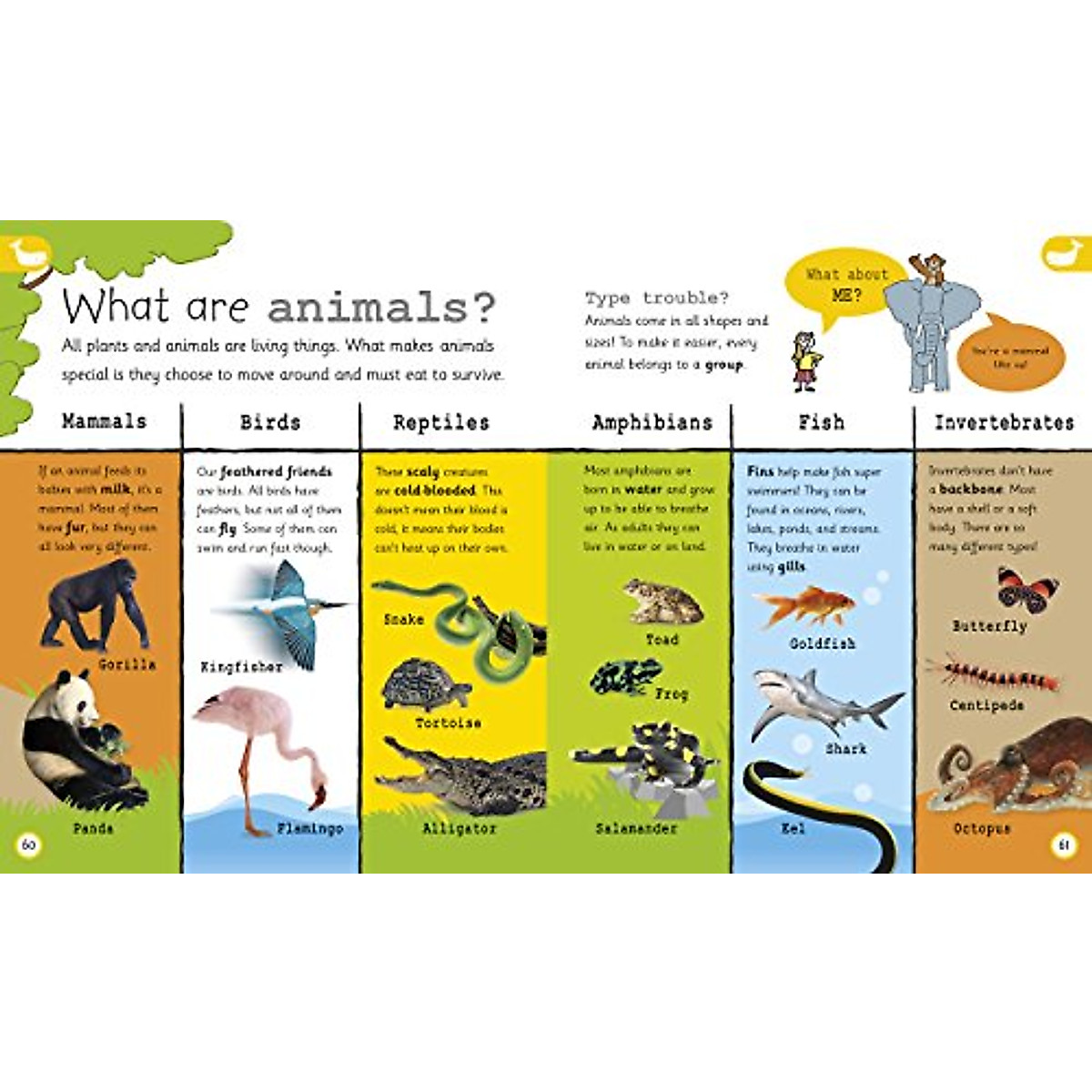 My Encyclopedia of Very Important Things: For Little Learners Who Want to Know Everything (My Very Important Encyclopedias)