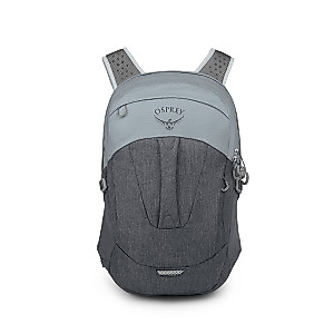Osprey Comet 30 Laptop Backpack, Silver Lining/Tunnel Vision