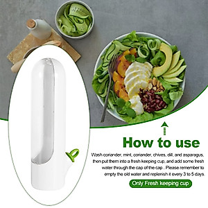 Fresh Herb Keeper, Herb Saver for Refrigerator, Herb Storage Container Vanilla Keep-Fresh Cup Vegetable Preservation Bottle Keeps Greens Fresh for Cilantro Mint Parsley Asparagus
