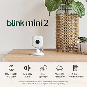 Blink Mini 2 (Newest Model) — Home Security & Pet Camera(s) with HD video, color night view, motion detection, two-way audio, and built-in spotlight — 1 camera (White)