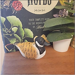 Selsela Canada Goose Figurine Decoration Handmade Wooden Statue Duck Art Decoy Carved Bird Geese Branta Small Animal Collectible