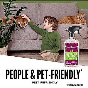 Aunt Fannie’s Houseplant & Garden Insect Remedy, Indoor and Outdoor Plant Insect Killer (3-Pack)