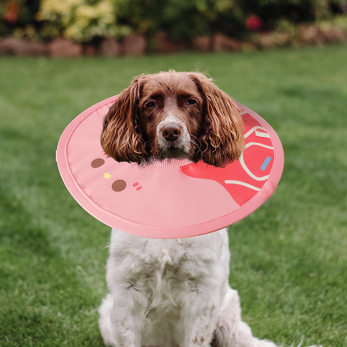 KUDES Waterproof Cat Dog Cone, Lightweight Cat Dog Cone E Collar with Low Noise Fasteners, Donut Cat Dog Pet Recovery Collar, Licking and Scratching Free Cone Pet Surgery Collar