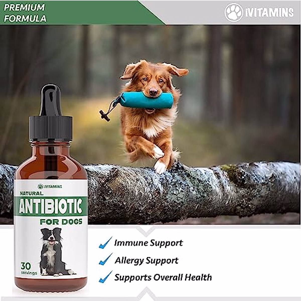 Dog Antibiotics - Antibiotics for Dogs - Antibiotic for Dog - Yeast Infection Treatment for Dogs - Dog Yeast Infection Treatment - Dog Ear Infection Treatment Antibiotic - Bacon Flavored (1 Pack)