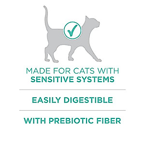 Purina ONE Sensitive Stomach, Sensitive Skin, Natural Dry Cat Food, +Plus Sensitive Skin and Stomach Formula - 16 lb. Bag