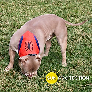 Marvel Spiderman Officially Licensed 2 Pack Pet Bandanas - I Am Spiderman & Spidey Logo Dog & Cat Bandana Set - Super Hero Costume Scarf Fits Dogs, Cats & Puppies Size Large & X-Large (Collar 32"X14")