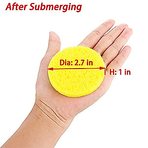 DQITJ 10 Pcs Hermit Crab Sponge, Water Dish Sponge for Pet Hermit Crab Tank Humidity Supplies (Yellow)