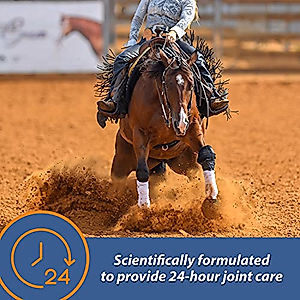 Farnam MaxFlex XR Extended Release Joint Supplement for Horses, Provides a continuous supply of joint health ingredients for 24 hours, 0.9375 pound, 30 Day Supply