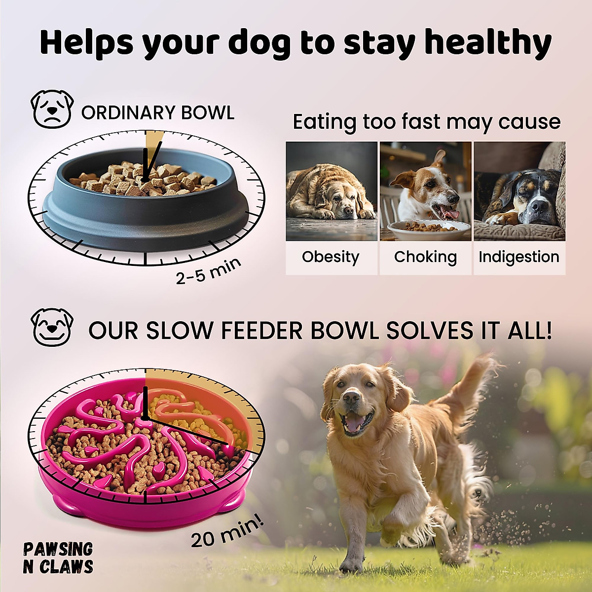 Pawsing N Claws Slow Feeder Dog Bowl - Anti-Choking & Non Slip Interactive Dog Feeding Bowls for Dry/Wet Food That Slow Down Eating Dog Bowl - Maze Puzzle Design Bowl - Large (Purple)