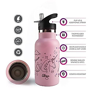 Citron - Stainless Steel Water Bottles, Insulated Metal Water Bottle- 12oz Thermal Water Bottle (Dino)